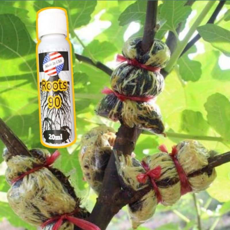 Promo Promo - Root 90 Usa 20ml Hormon Akar Dan Tumbuh Tanaman Diskon 50 ...