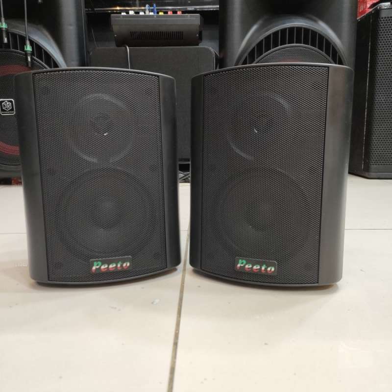 Promo Speaker Peeto 5 Inch Cocok Buat Di Cafe, Restoran, Klinik ...