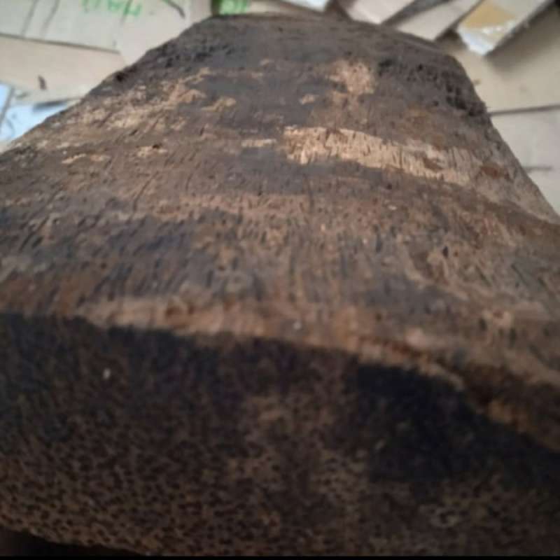 Jual Ruyung Aren Atau Papan Pohon Aren Kuat Dan Awet Bahan Baku ...