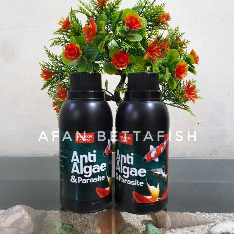 Jual Anti Alga & Parasit Koukkai 4000 Liter Air / Obat Lumut / Anti ...