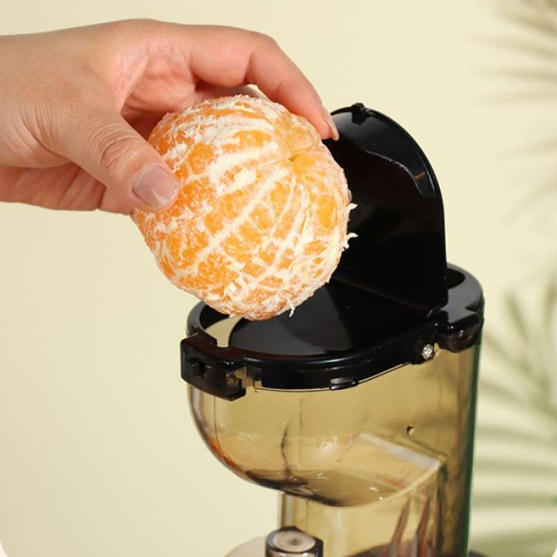 Jual Blender Juice Mesin Pembuat Jus Slow Juicer Portable 500w Cold ...