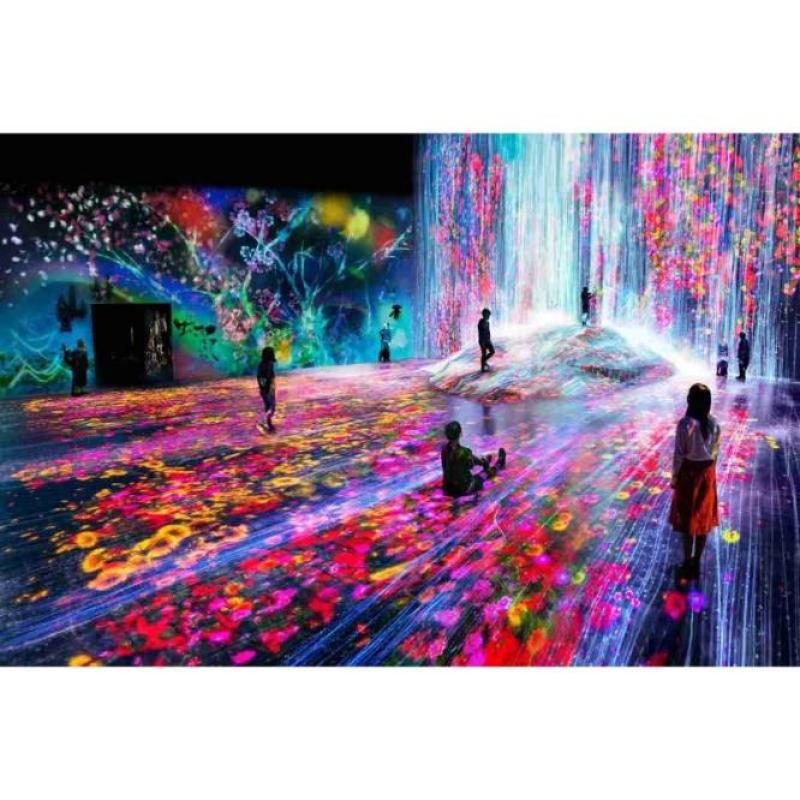 Promo Tiket Atraksi Teamlab Planets Tokyo Dmm - Dewasa Tiket Masuk 1 ...