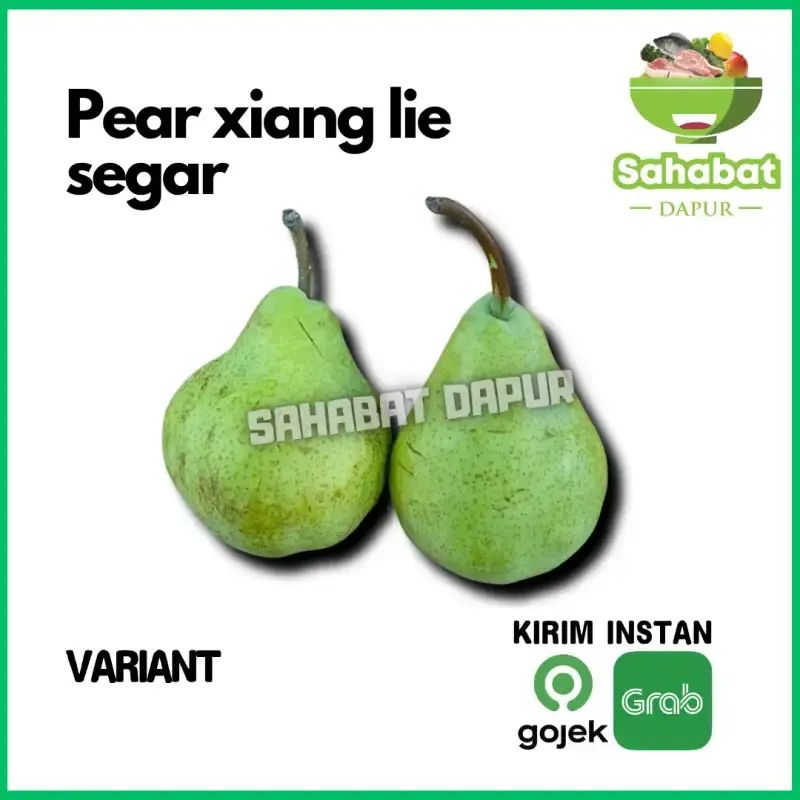 Pir Xiang Gratis Ongkir 🔥 Harga Murah Maret 2026