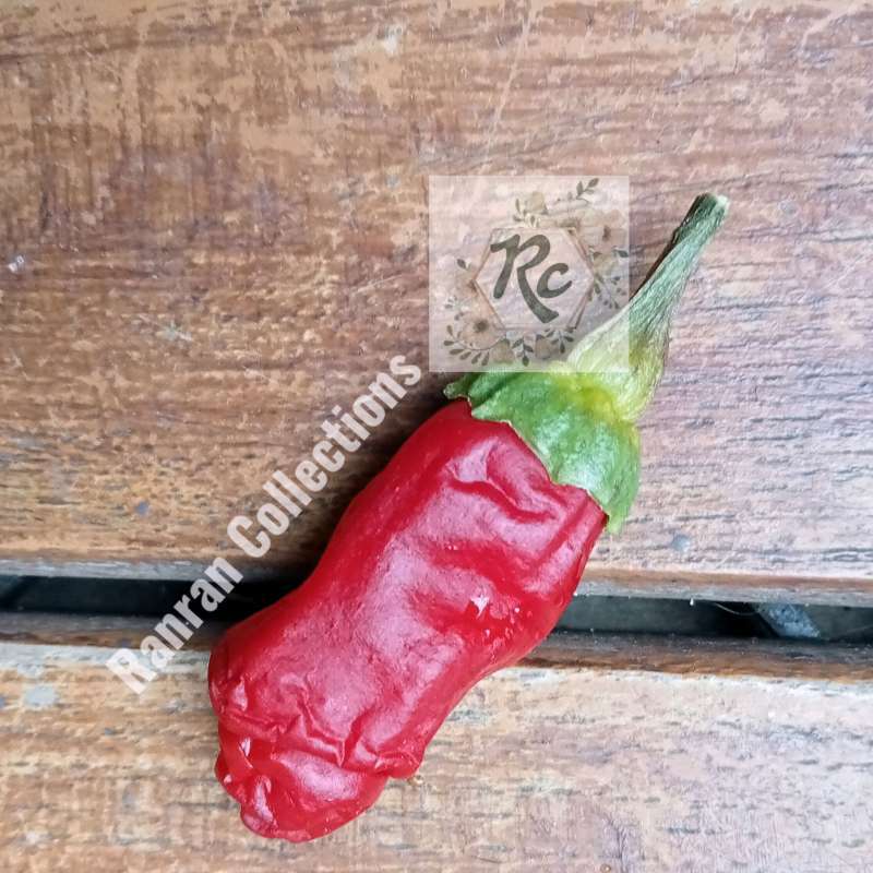 Promo Benih Biji Tanaman Hias Cabe Cabai Porno Red Peter Pepper Real ...