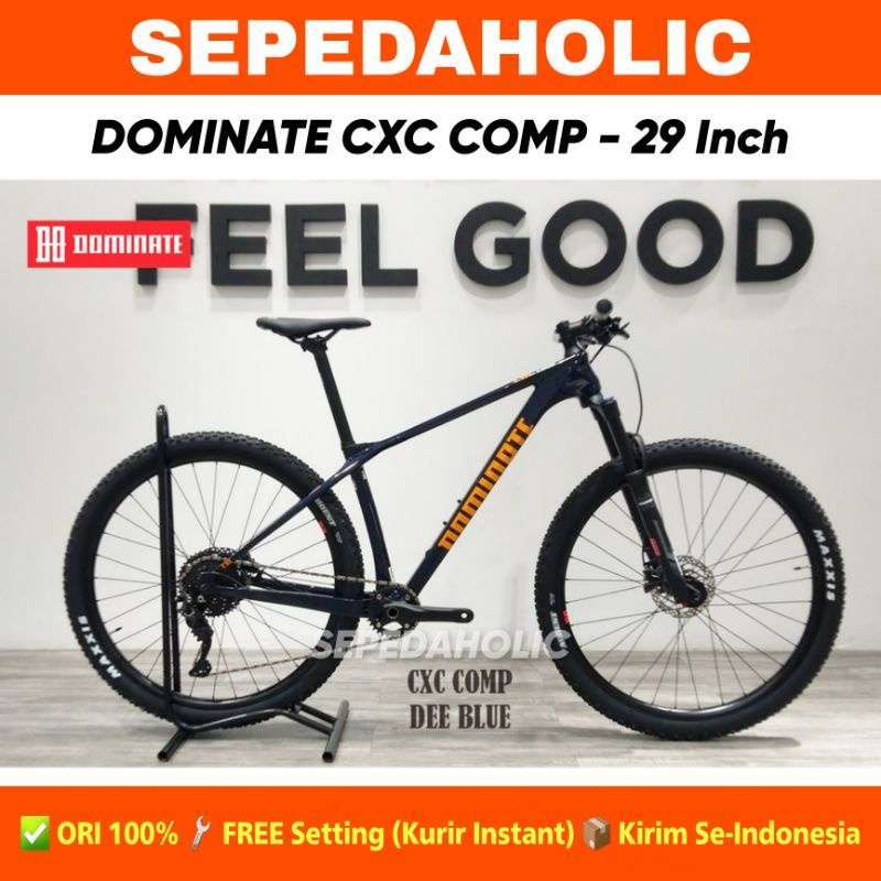 Jual Sepeda Gunung MTB DOMINATE CXC COMP 29 Inch Carbon 10 Speed Hidrolik di Seller Sepedaholic ...
