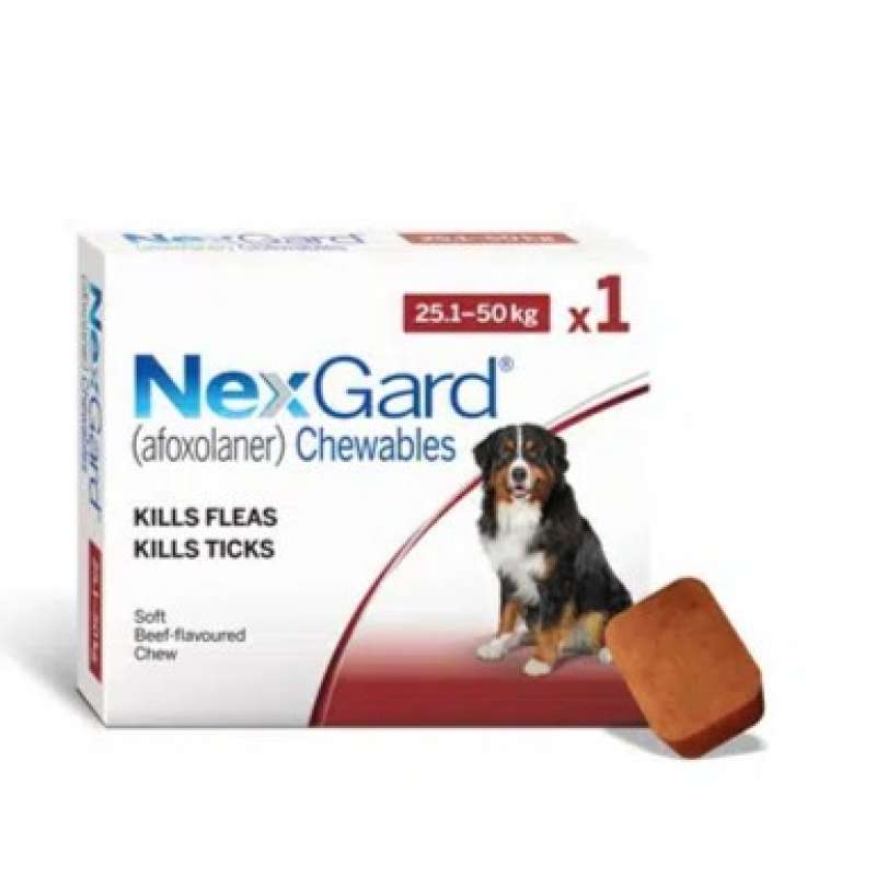 Promo NEXGARD 25-50Kg XL Dogs Obat Kutu Anjing 1 Tablet - Chewable ...