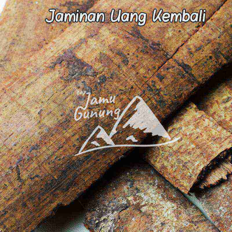 Promo Kulit Kayu Mesoyi Atau Masoi Kering 250gr - Bersih Diskon 40% Di ...