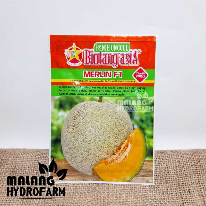 Jual Benih Melon Orange Merlin F1 20 Gram Bintang Asia Dataran Rendah ...