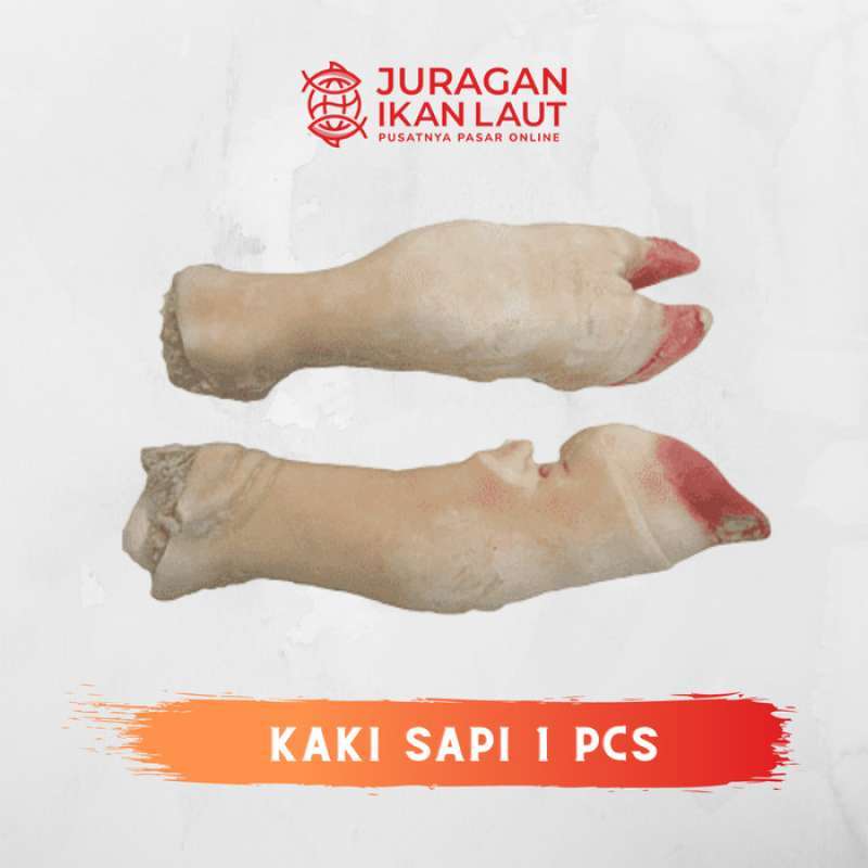 Jual Kaki Sapi Utuh Segar Berkualitas - 1 Pcs Di Seller Juragan Ikan ...