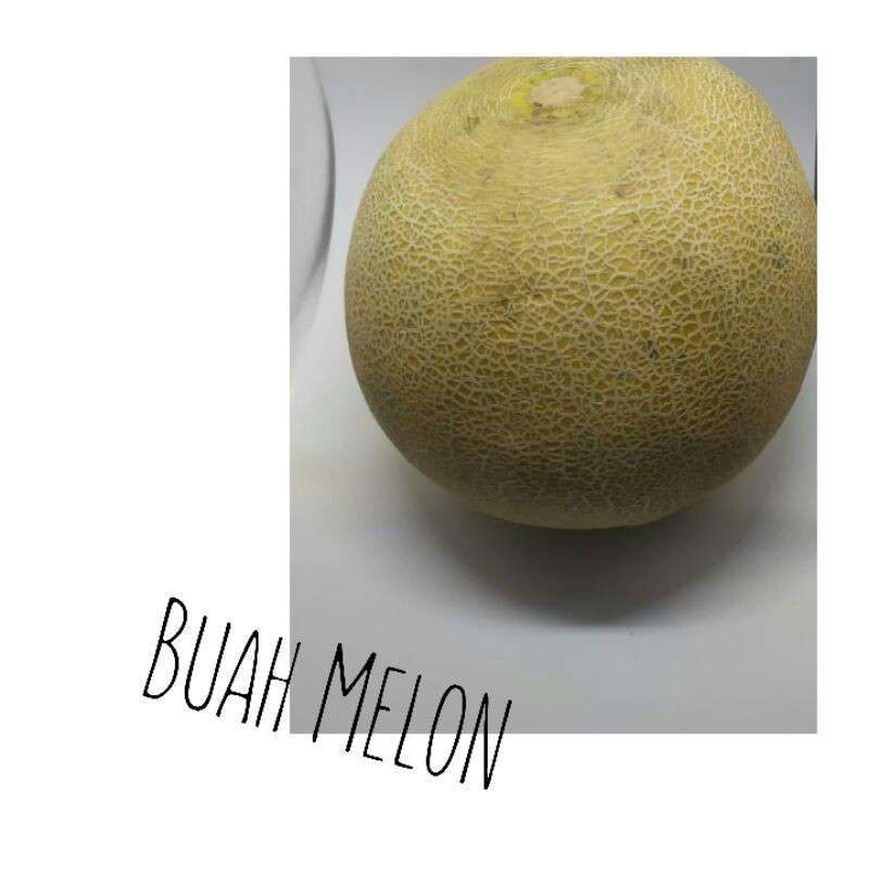 Melon Kg Gratis Ongkir 🔥 Harga Murah Juni 2026