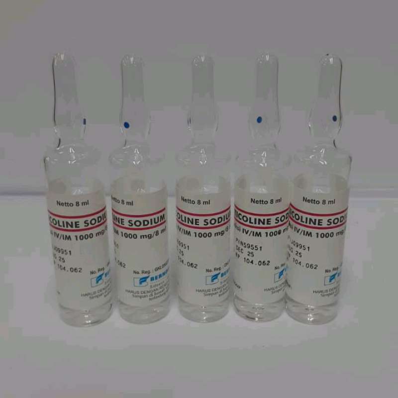 Jual Citicoline Citicolin 1000mg Injeksi Per Ampulan Original(Resep ...
