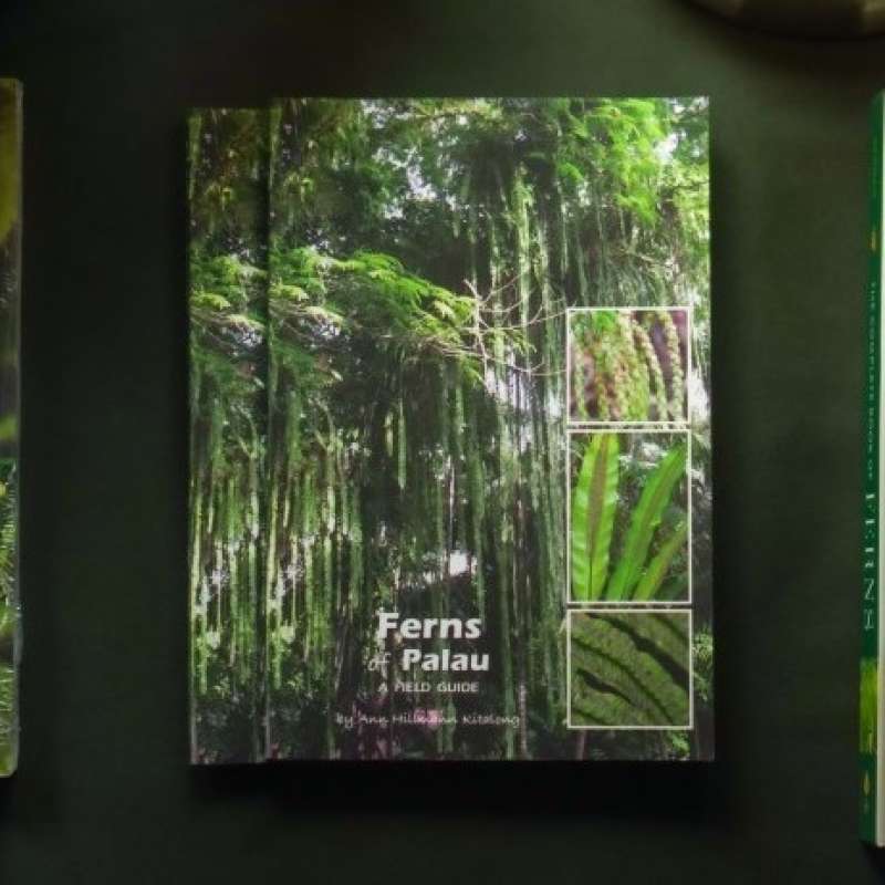Promo Buku Import : Ferns Of Palau A Field Guide Tanaman Diskon 23% di ...