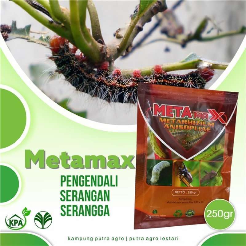 Jual Pengendali Hama Perkebunan dan Persawahan - Pestisida Ramah ...