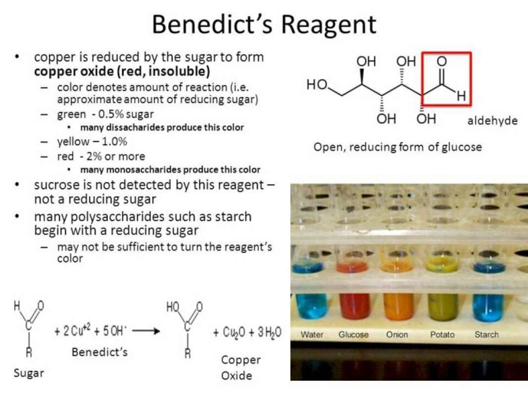 Promo Benedict Reagent - Reagen Uji Gula - Larutan Kimia 250 Ml Diskon ...