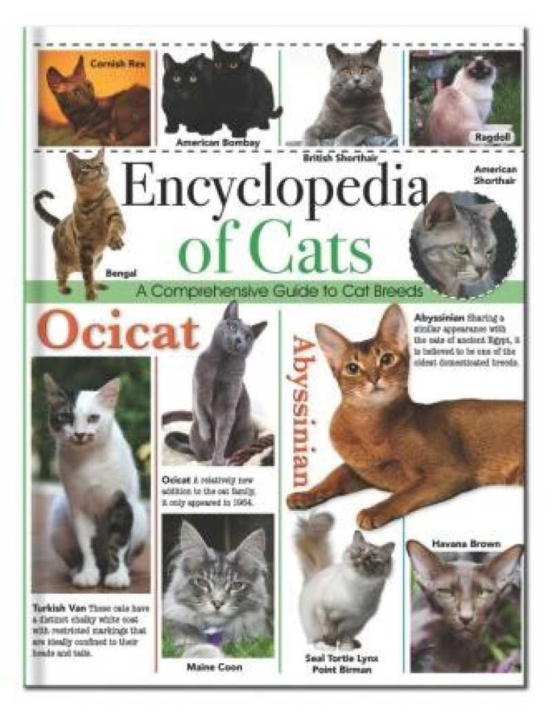 Promo BUKU IMPORT - ENCYCLOPEDIA OF CATS (OMNIBUS) Diskon 23% di Seller ...
