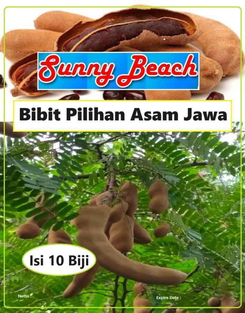 Pohon Asam Jawa