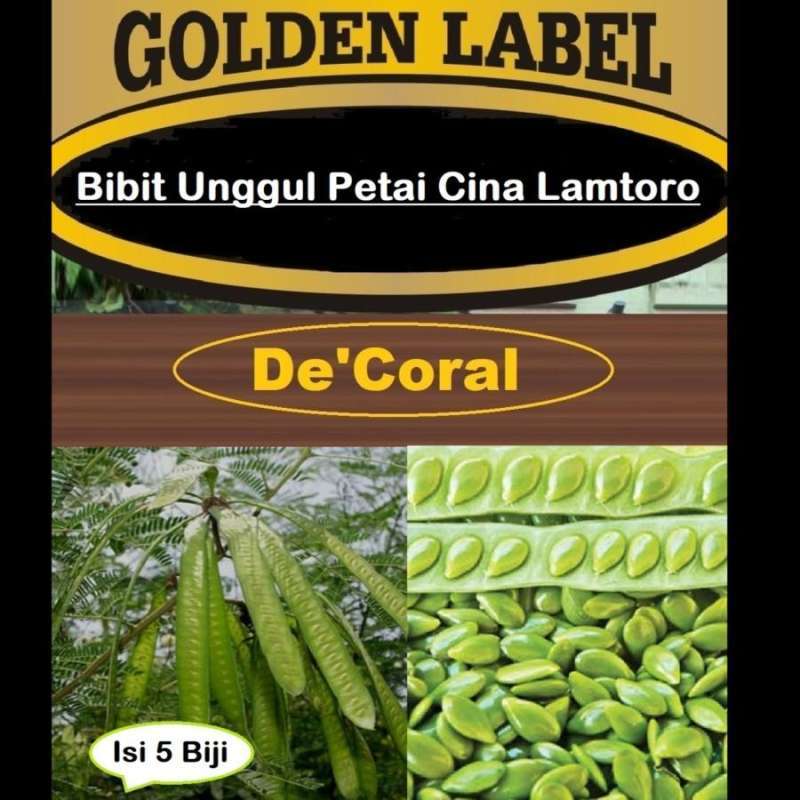 Jual Bibit Petai 💯 Harga Murah & Kualitas Terbaik Mei 2026