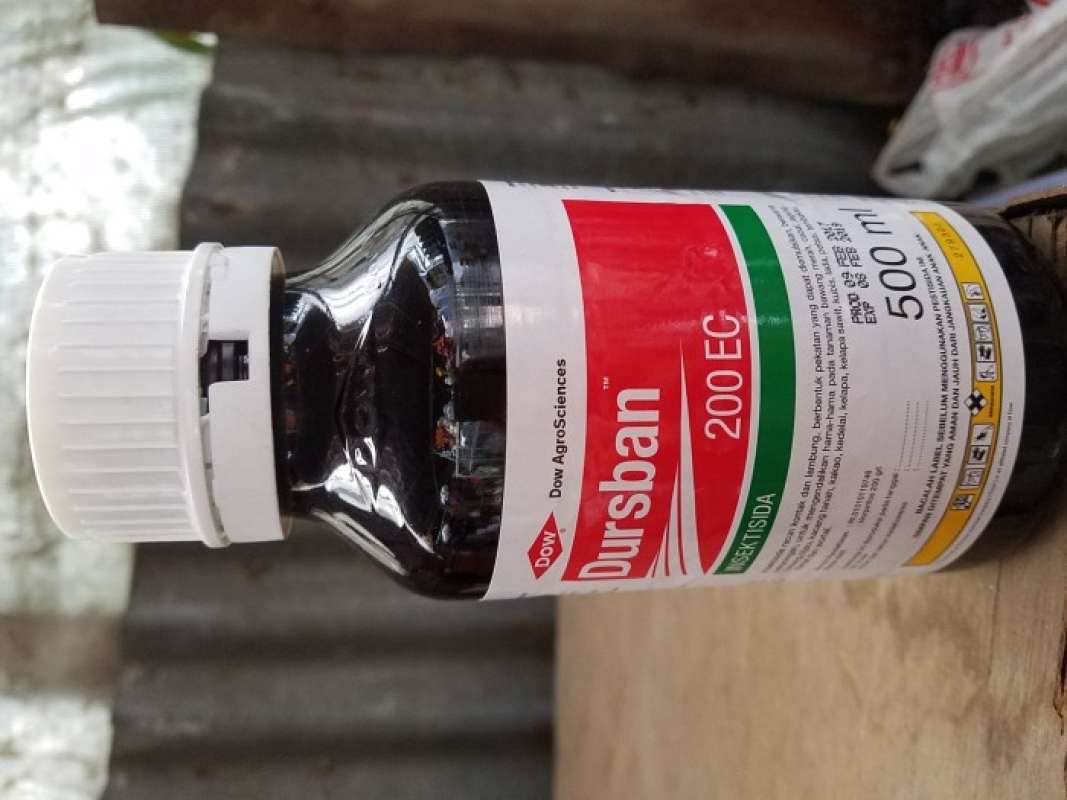 Promo Dursban 200 EC Insektisida 500 ML Diskon 33% di Seller Jaya Raga ...