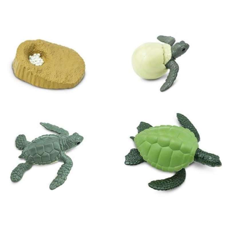 Promo Safari Ltd - Life Cycle of Sea Turtle Set Diskon 27% di Seller ...