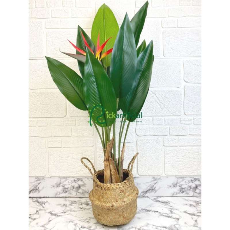 Promo Tanaman Artificial Heliconia Bird Of Paradise T120 Cover Purun ...