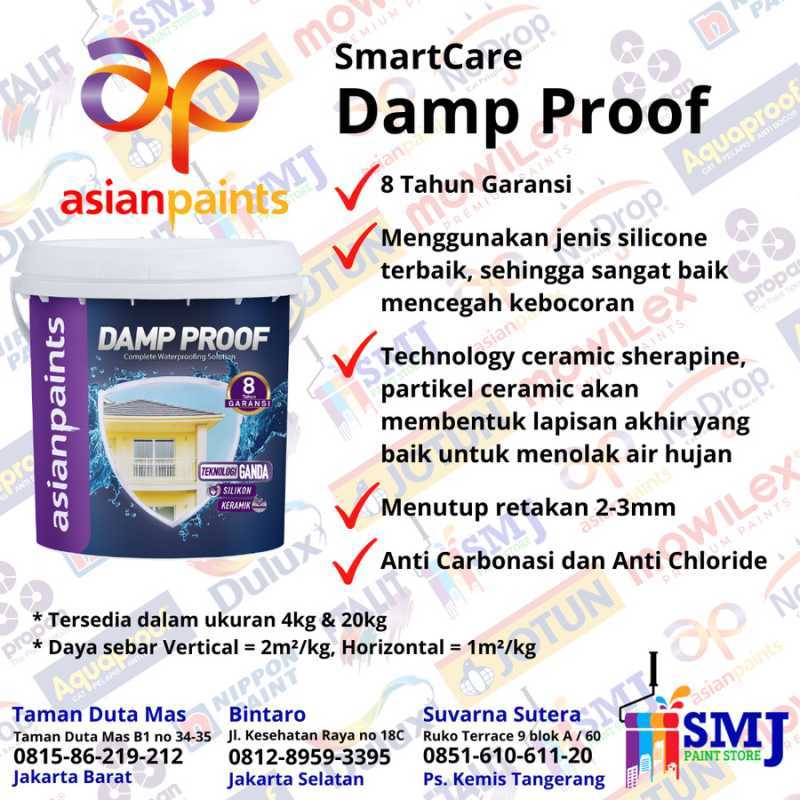 Jual Asian Paint Damp Proof 💯 Harga Murah & Kualitas Terbaik September 2025