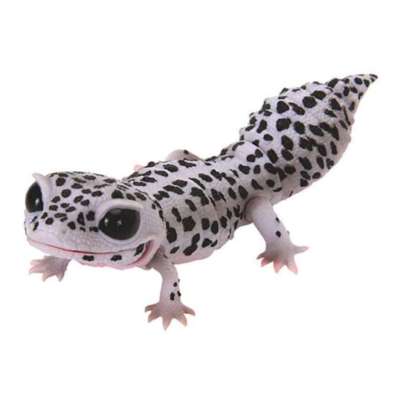 Promo IKIMONO REPTI LEOPARD GECKO GASHAPON GACHA BANDAI DANGO MUSHI ...