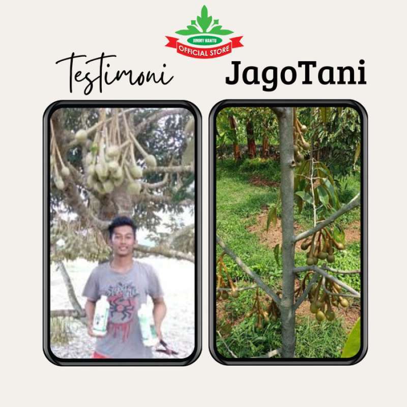 Promo PUPUK JIMMY HANTU PELEBAT BUAH JAGO TANI RB 500ml Diskon 33% di ...