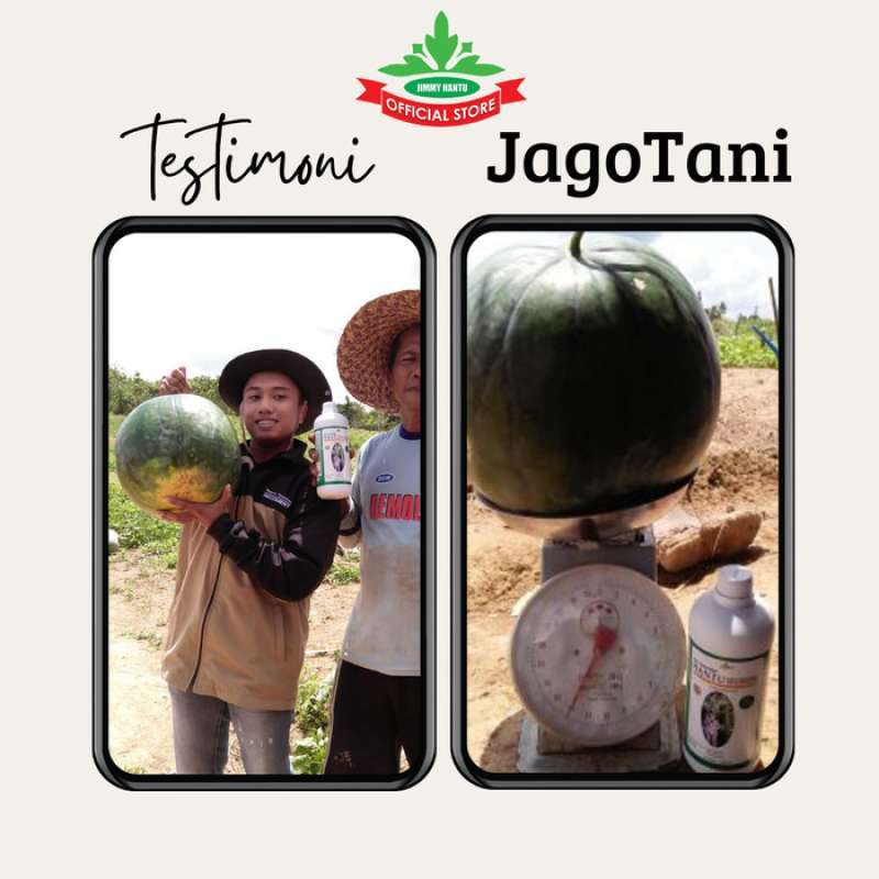 Promo PUPUK JIMMY HANTU PELEBAT BUAH JAGO TANI RB 500ml Diskon 33% di ...