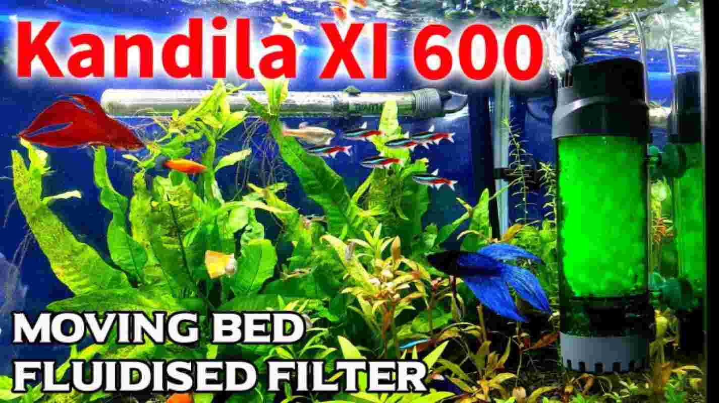 Jual Bubble K1 Moving Bed Filter Kaldness XI AQUA 600 Filter Aquarium ... Jual Bubble K1 Moving Bed Filter Kaldness XI AQUA 600 Filter Aquarium ...