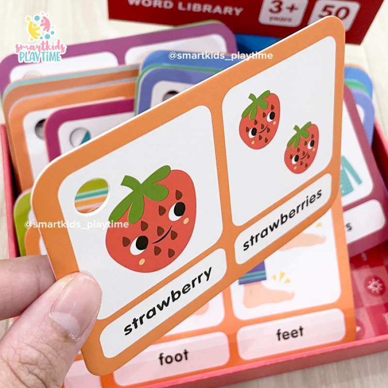Promo Saalin Singular and Plural My First Word Library Flash Cards ...