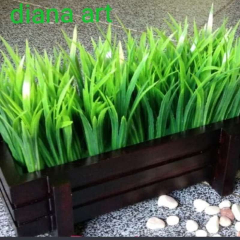 Promo Tanaman Hias Rumput Tiruan Diskon 50% Di Seller Poroswonderland ...