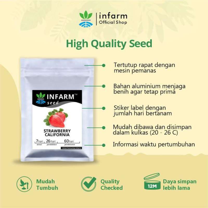 Jual Infarm - Benih Bibit Biji Super Buah Strawberry California Besar ...