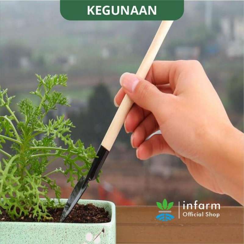 Jual Set Garden Tools 3 Pcs Alat Kebun Berkebun Sekop Garpu Taman Mini ...