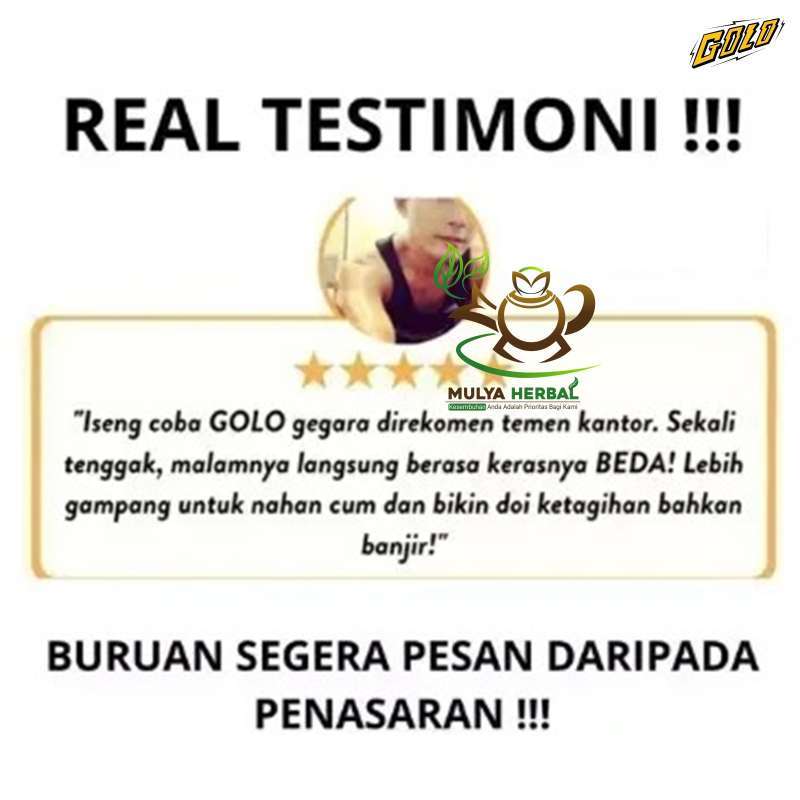 Promo Box Isi 5 Sachet Golo Obat Kuat Mister Golo Ginseng Korea ...