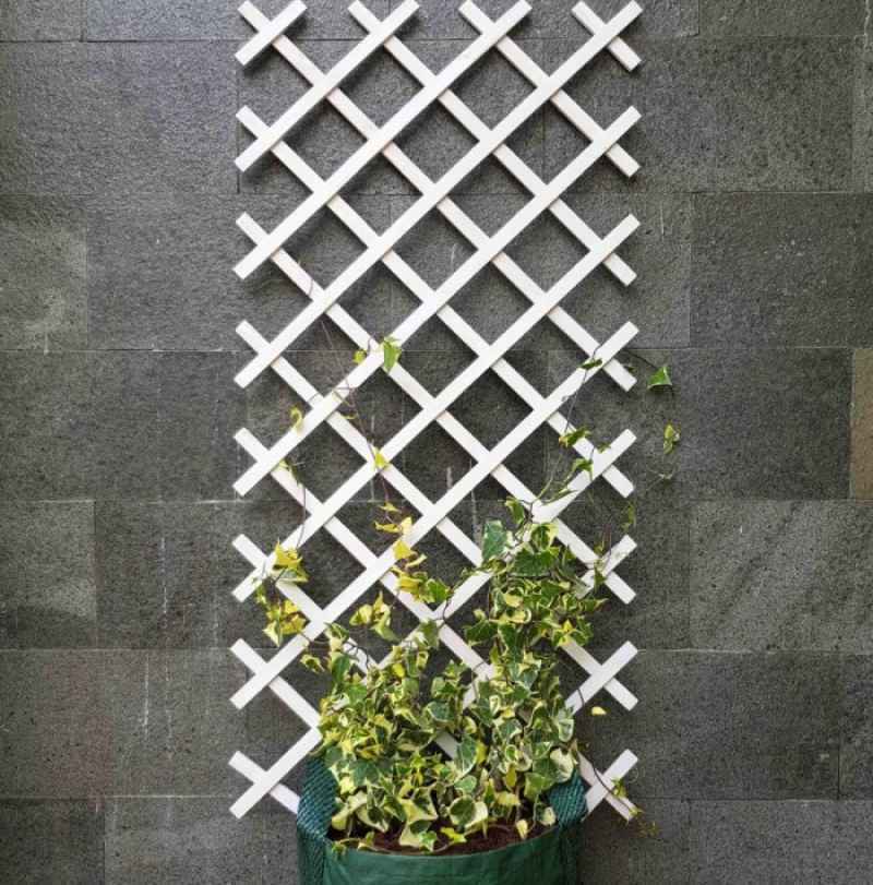 Jual Expanding Trellis 50 X 100 Cm Kayu Rambatan Garden Climbing Tembok ...