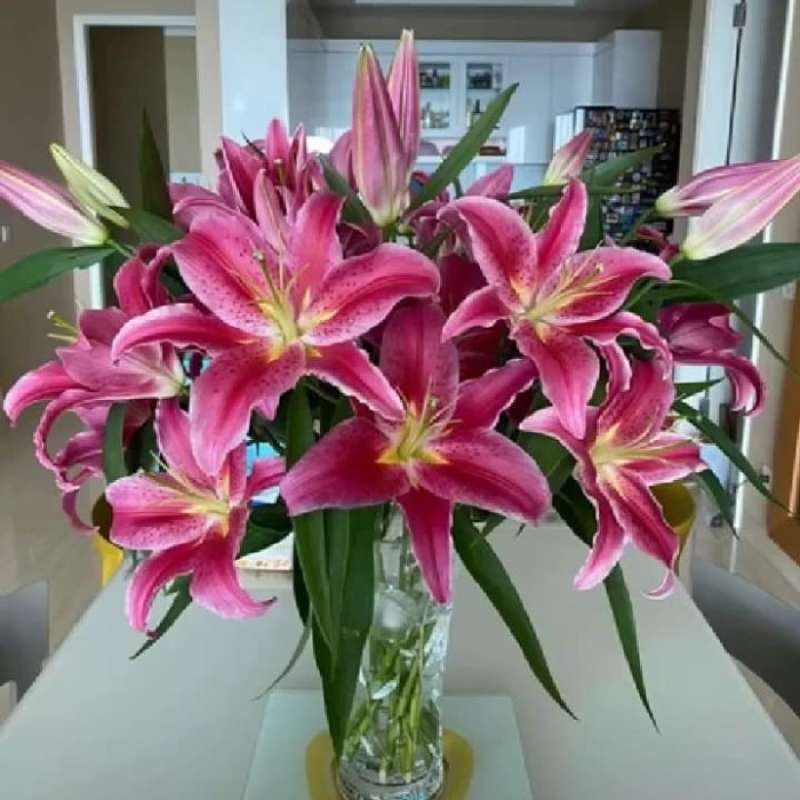 Promo Bunga Cantik Asli Bunga Lily Fresh 10 Tangkai Bunga + Vas Bunga ...