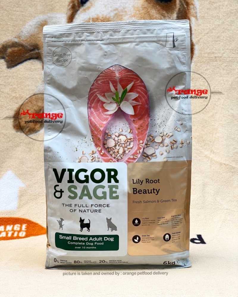 Promo Vigor & Sage Small Breed Adult Dog Lily Root Salmon 6 Kg Grain ...