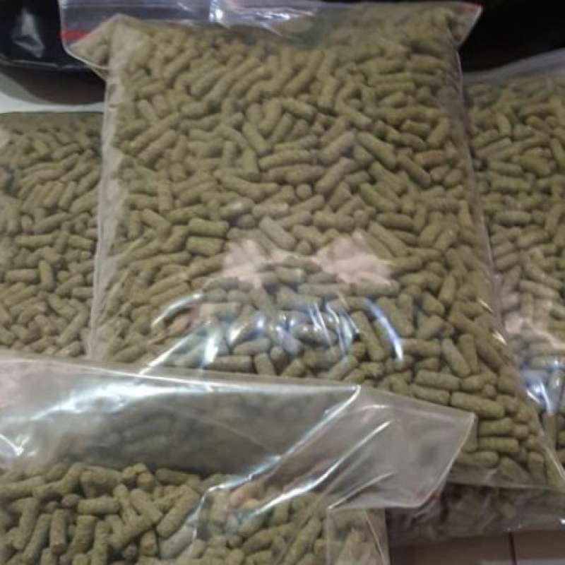 Jual Pellet Premium Guinea Pig Makanan Cavy Pakan Cavi Marmut Tikus ...