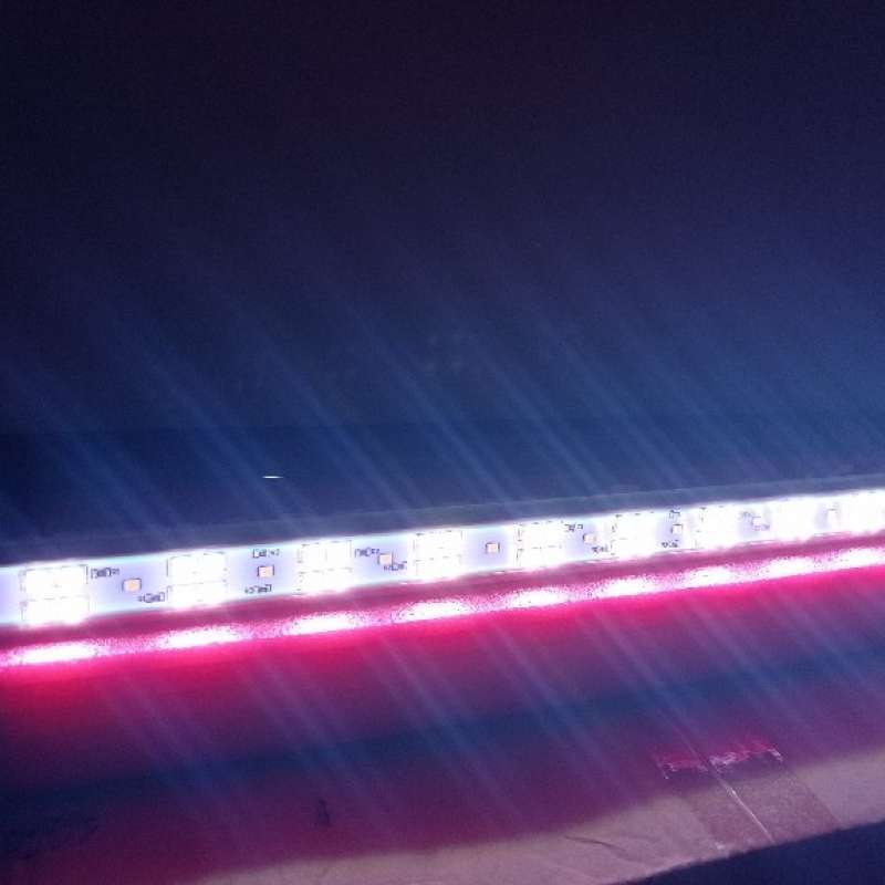 Jual Lampu Led Tanning Aquarium Kandila Pro Red Day And Night 800 1000 ...