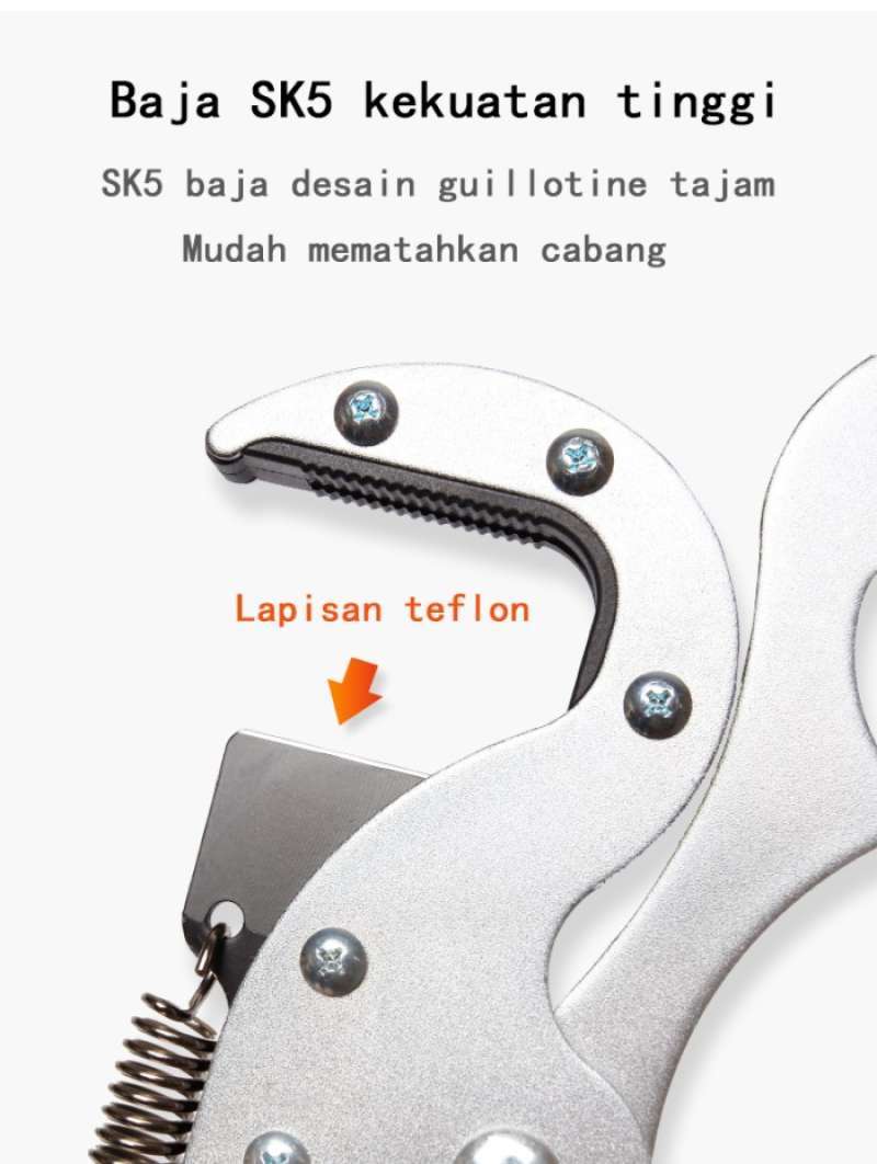 Jual Tree Pruner Galah Tongkat Pemotong Gergaji Gunting Dahan Ranting - 7m Di Seller Aghanim ...