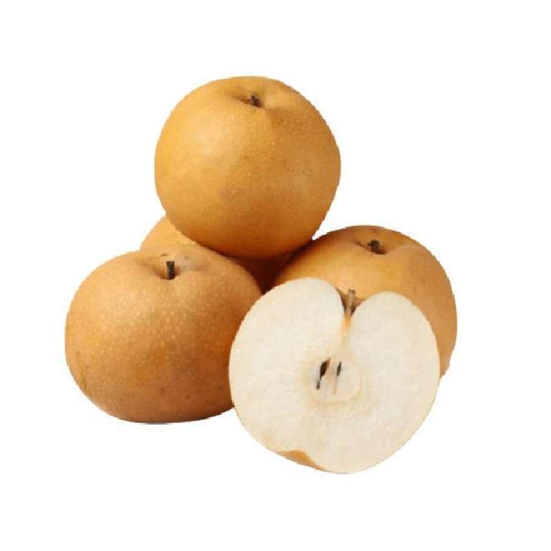 Jual Buah Pear Pir 500gr Forelli Pacham Xiang Lie Century Singo Bandung ...