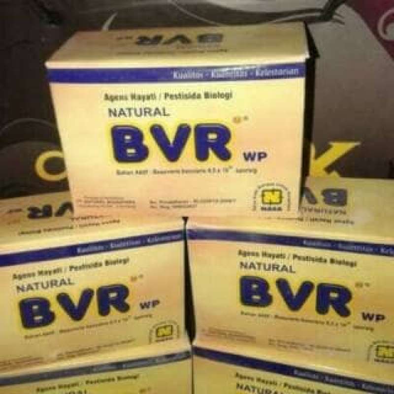 Promo Natural Bvr Nasa Agens Hayati Pestisida Organik Pengendali Hama Blast Diskon 23% Di Seller ...