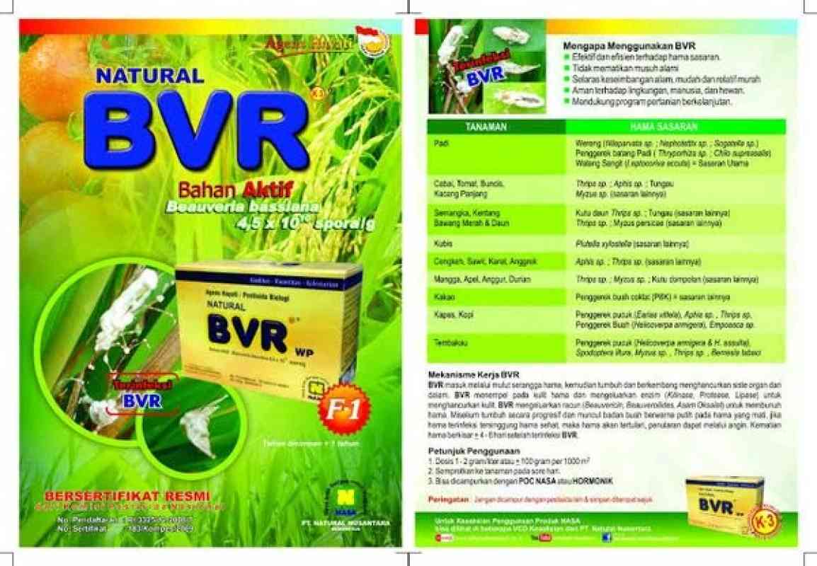 Promo Natural Bvr Nasa Agens Hayati Pestisida Organik Pengendali Hama Blast Diskon 23% Di Seller ...