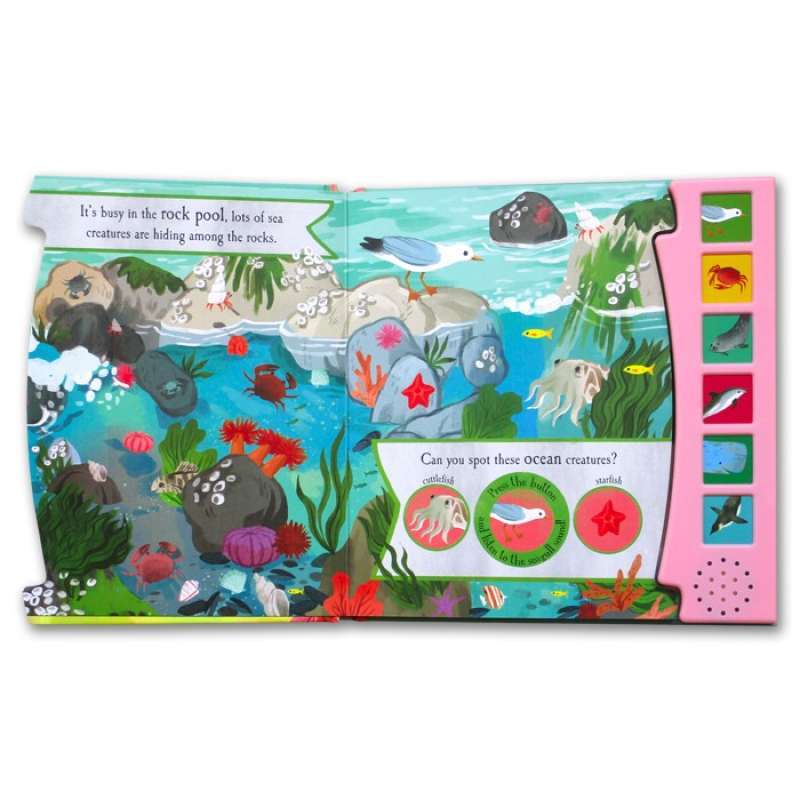 Promo Ori Ocean Sound Book Buku Bersuara Hewan Dan Suasana Di Pantai ...