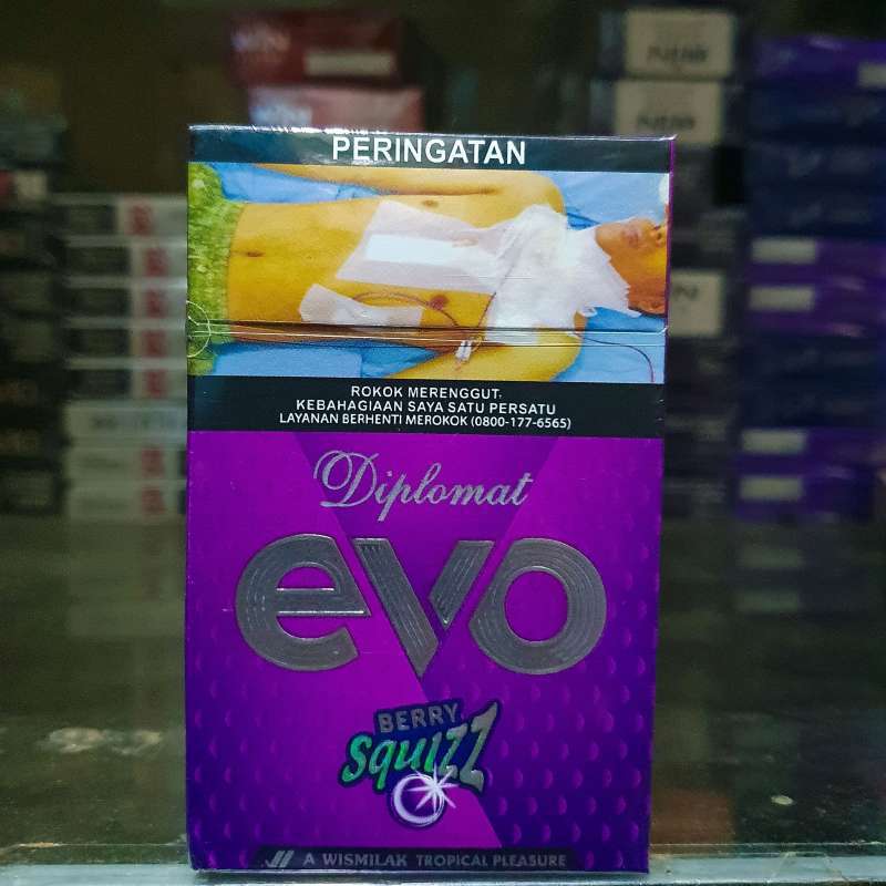 Diplomat Berry 1 Slop 🔥 Harga Grosir Juni 2026