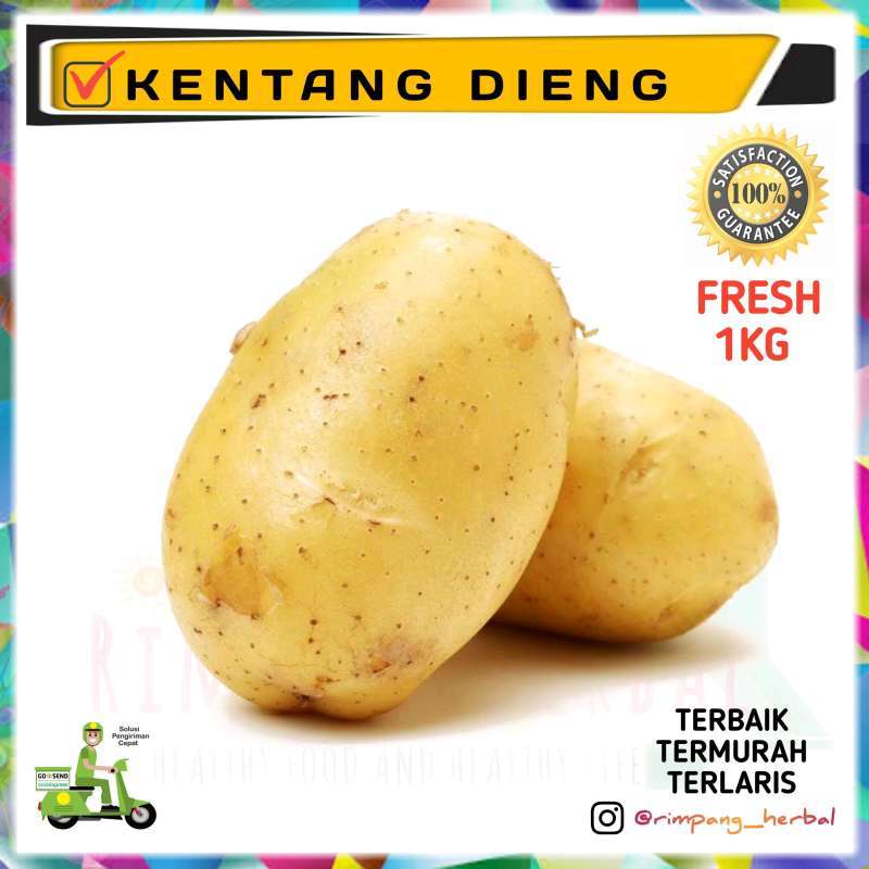 Jual Buah Kentang Dieng 1 Kg Termurah - Harga Grosir Terupdate Hari Ini ...
