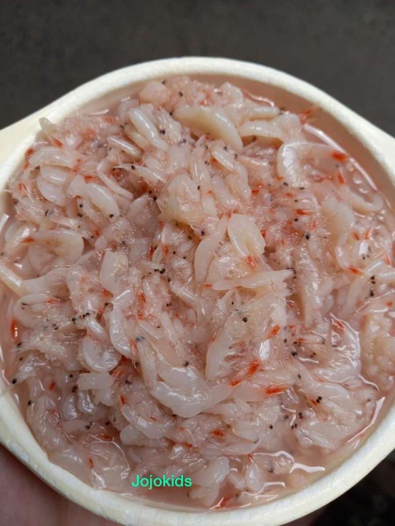 Jual seujot saeujeot / cencalok / hakoi / udang fermentasi / calok ...