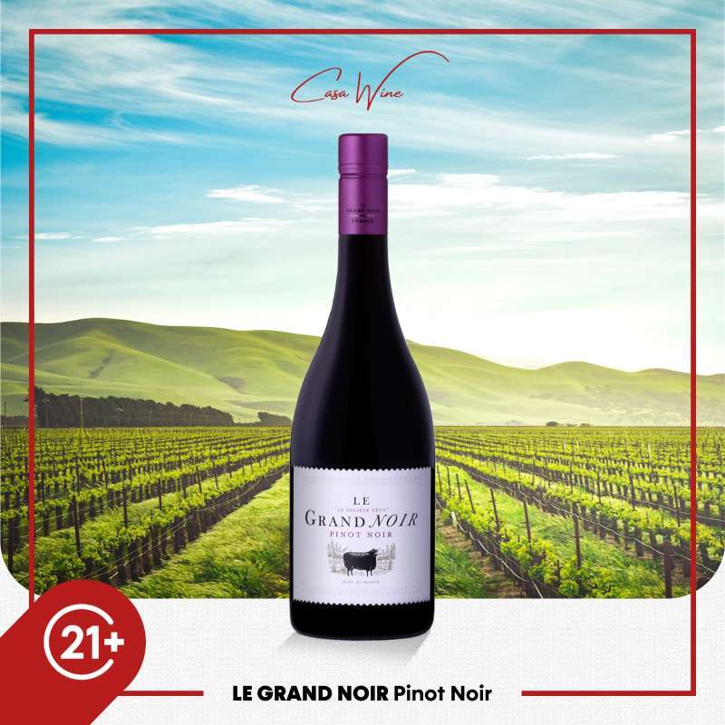 Jual Anggur Pinot Noir Termurah - Harga Grosir Terupdate Hari Ini | Blibli