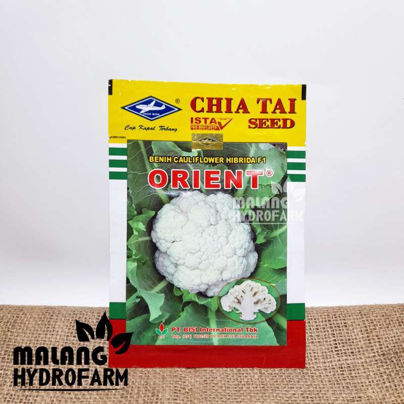 Jual Benih Bunga Kol Orient 10 Gram Cap Kapal Terbang Hibrida F1 ...