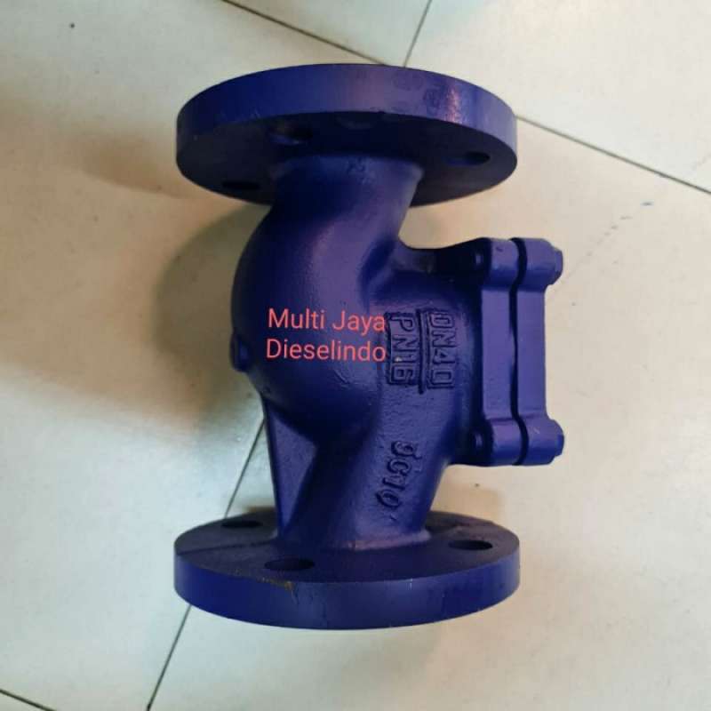 Jual Lift Check Valve Steam Cast Iron Flange Pn 16 1 Inch Dn25 Di ...